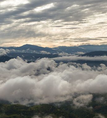 Blog - Colcafe Corporativo